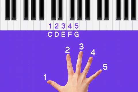 How to Play Piano for Beginners - Playground Sessions